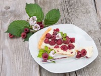 Under 30 Minutes | CANDIQUIK